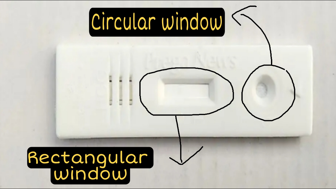 How To Check Pregnancy With Prega News Kit - Bright Cures