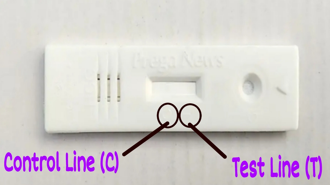 How To Check Pregnancy With Prega News Kit - Bright Cures