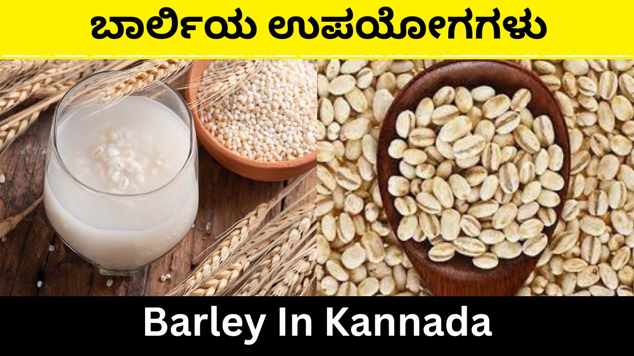 Barley In Kannada | ಬಾರ್ಲಿ - Bright Cures